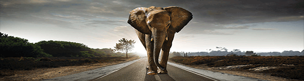 empower digital test - Giti USA Commercial Truck Tires